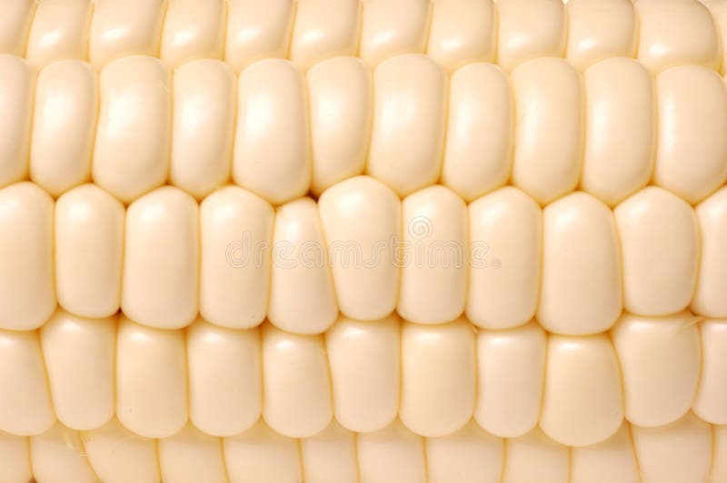 Corn Macro Texture Picture. Image: 20742650