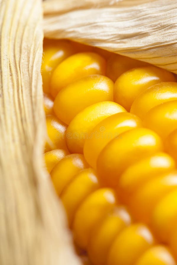 Corn, Macro, Yellow, Ripe, Appetizing, Food, Healt Stock Photo - Image ...