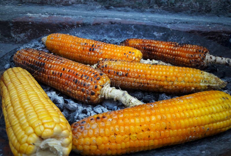 Corn, Maize Burned and Cooked on Charcoal Stock Image - Image of burned ...