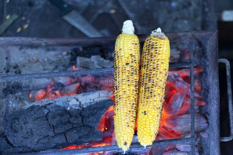 Corn, Maize, Fried Corn, Roasted Corn Stock Image - Image of leaf ...