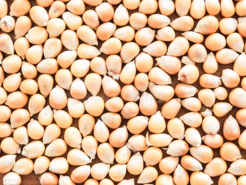 Cornflour Maizeflour Stock Photos - Free & Royalty-Free Stock Photos ...