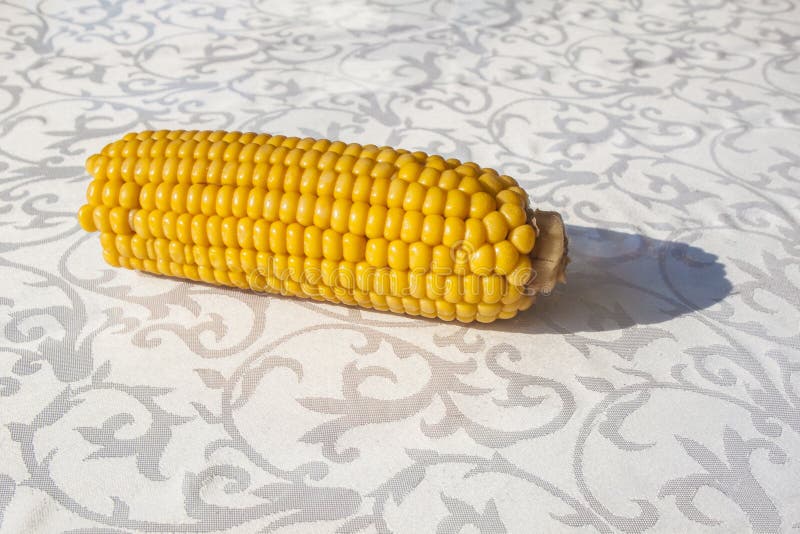 Corn, maize, sweet corn stock photo. Image of kernel - 103184886