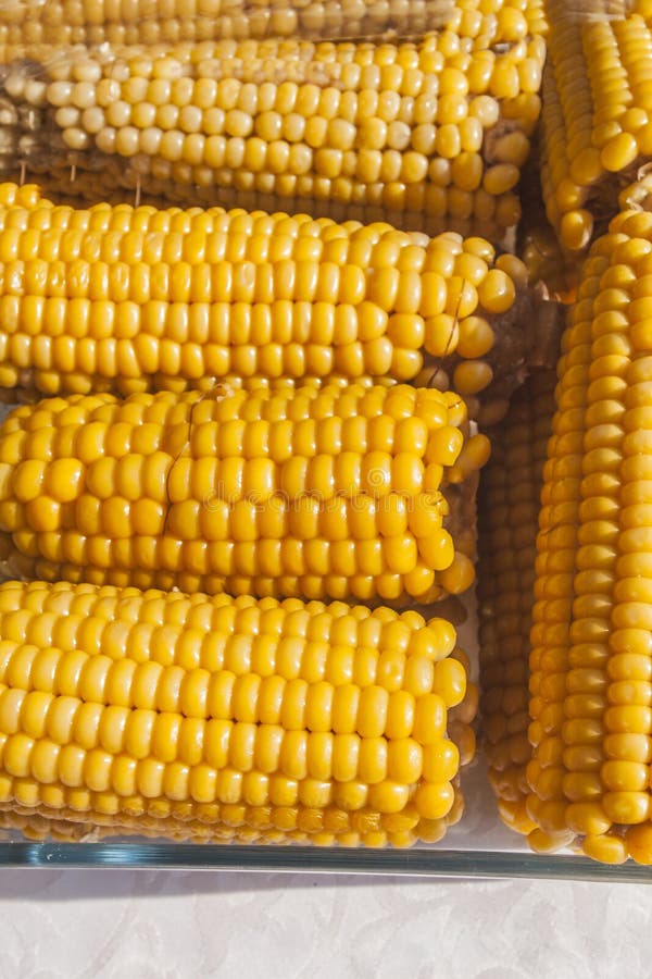 Corn, maize, sweet corn stock image. Image of nature - 103184457