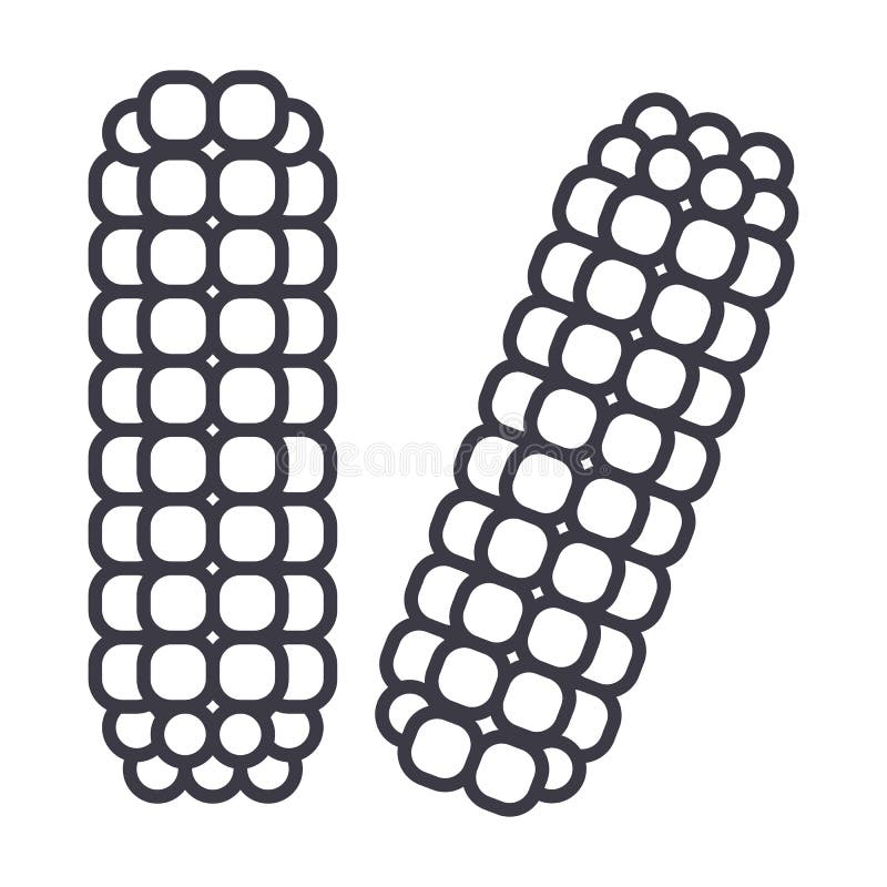 Maize Vector Hand Drawn Illustration Stock Vector - Illustration of ...