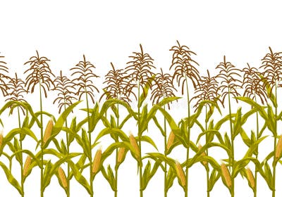 Border Corn Stock Illustrations – 6,360 Border Corn Stock Illustrations ...
