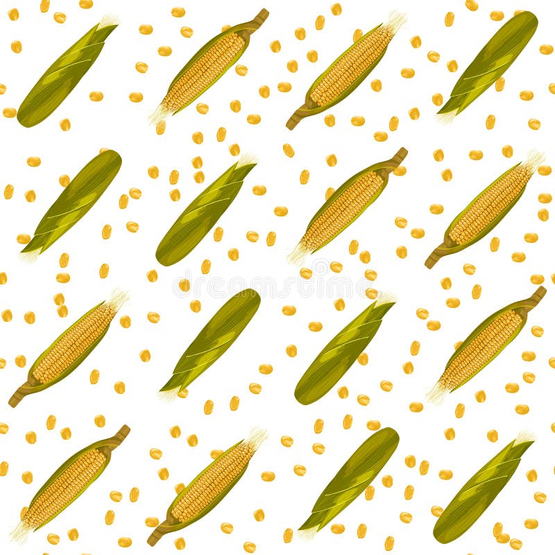 Corn Maize Vector Seamless Pattern. Realistic Botanical Illustration ...