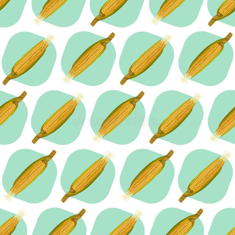 Corn Maize Vector Seamless Pattern. Realistic Botanical Illustration ...