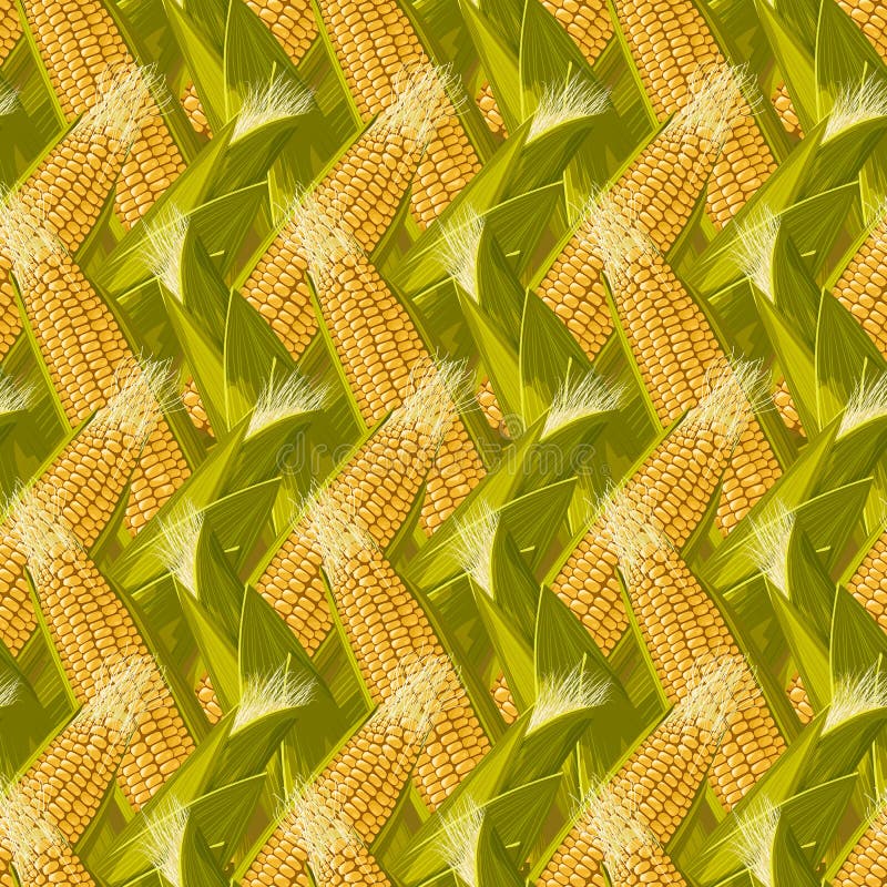 Corn Maize Vector Seamless Pattern. Realistic Botanical Illustration ...