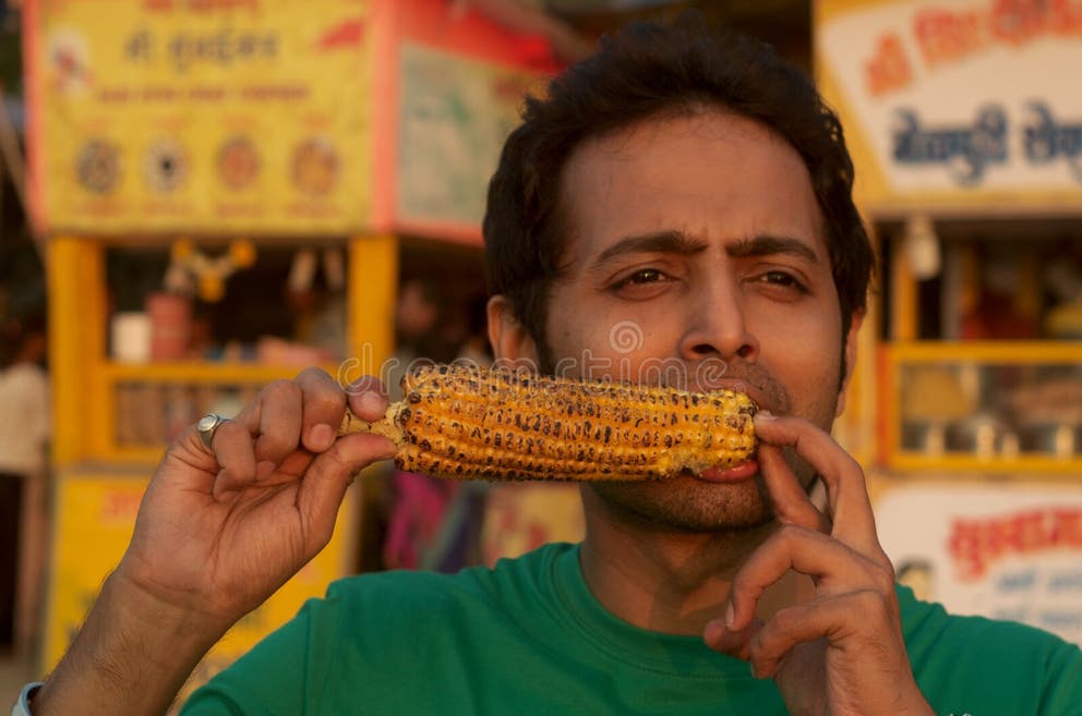 Corn Maize and the Warm Evening Stock Image - Image of expression ...