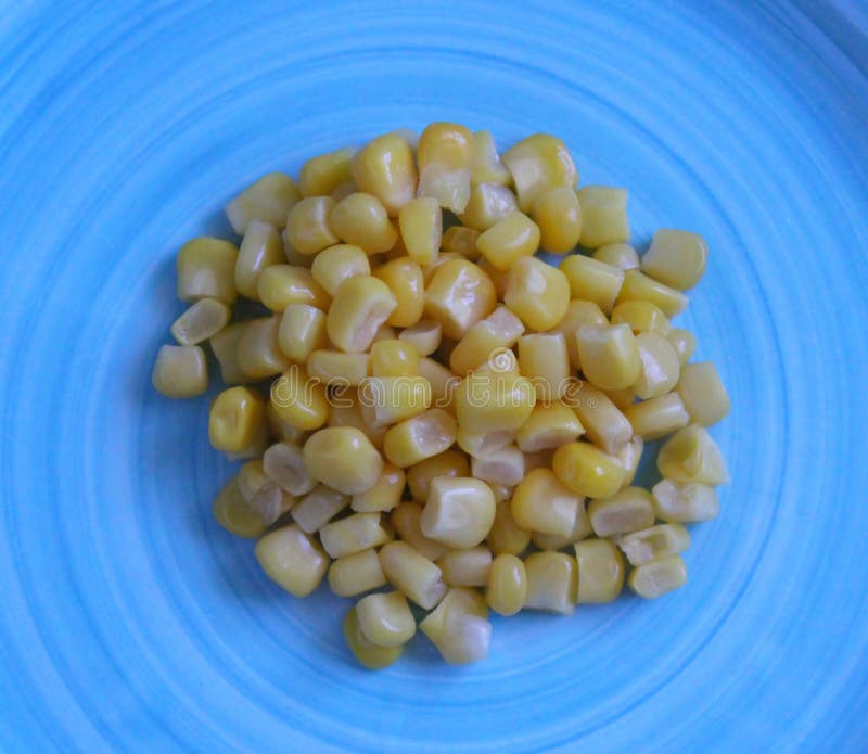 Corn stock photo. Image of farm, plant, healthy, eating - 83657774