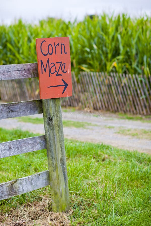 Corn maze sign stock photo. Image of maze, arrow, pumpkin - 27072360