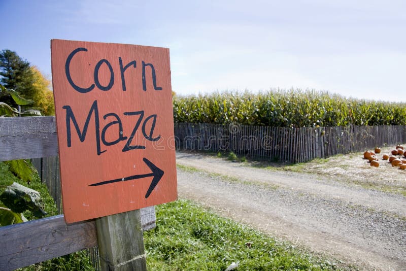 Corn maze sign stock photo. Image of maze, arrow, pumpkin - 27072360
