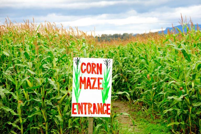 3,679 Corn Maze Lan Stock Photos - Free & Royalty-Free Stock Photos ...