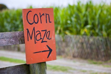 Corn maze sign stock photo. Image of maze, arrow, pumpkin - 27072360