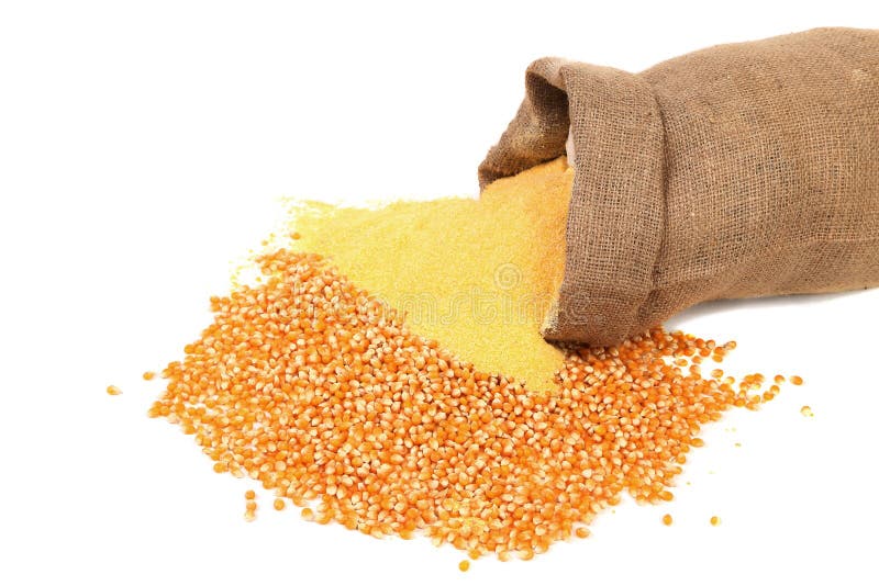 Corn meal and grain in bag stock image. Image of aliment - 34700305