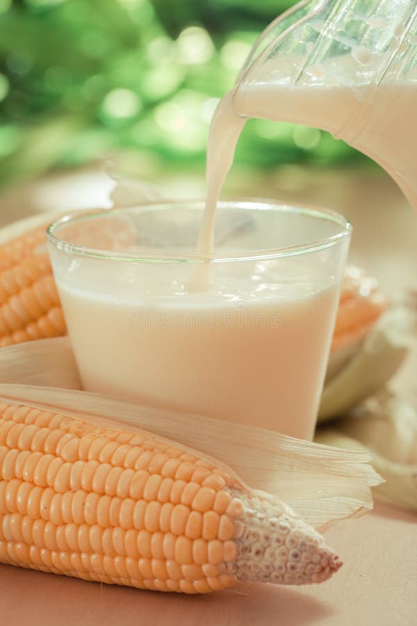 Corn milk stock photo. Image of nutrition, natural, beverage - 43932012