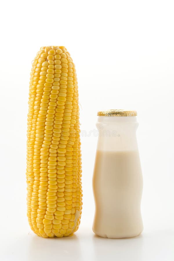 Corn milk stock photo. Image of organic, healthy, yellow - 77732818
