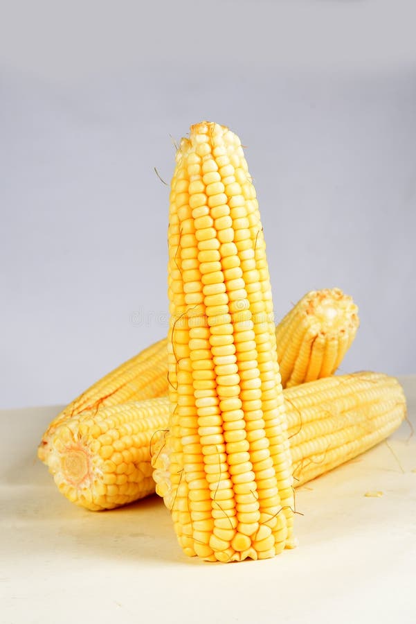 Corn Natural and Healthy Food Cereal of High Nutritional Qualities ...
