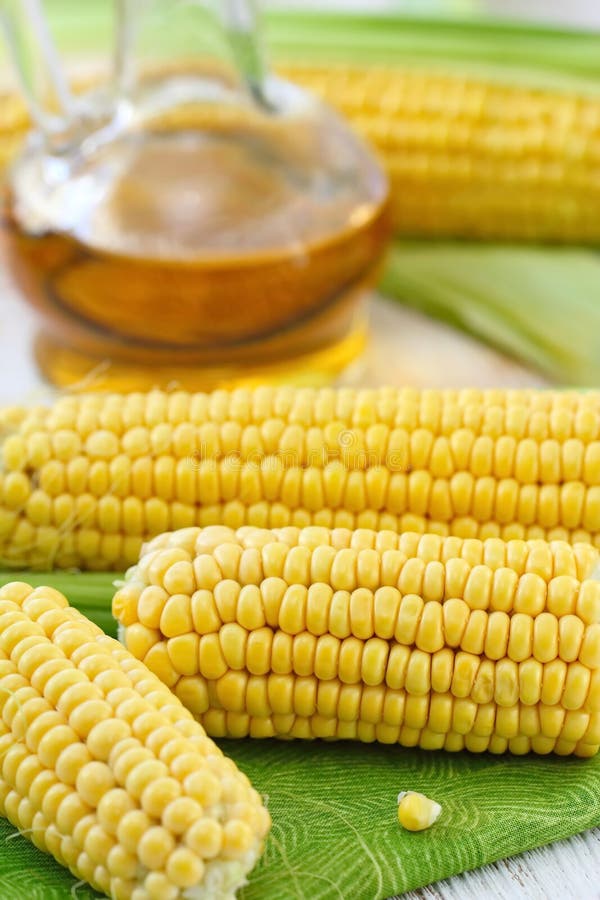 Corn oil and corn cobs stock photo. Image of natural - 124760616