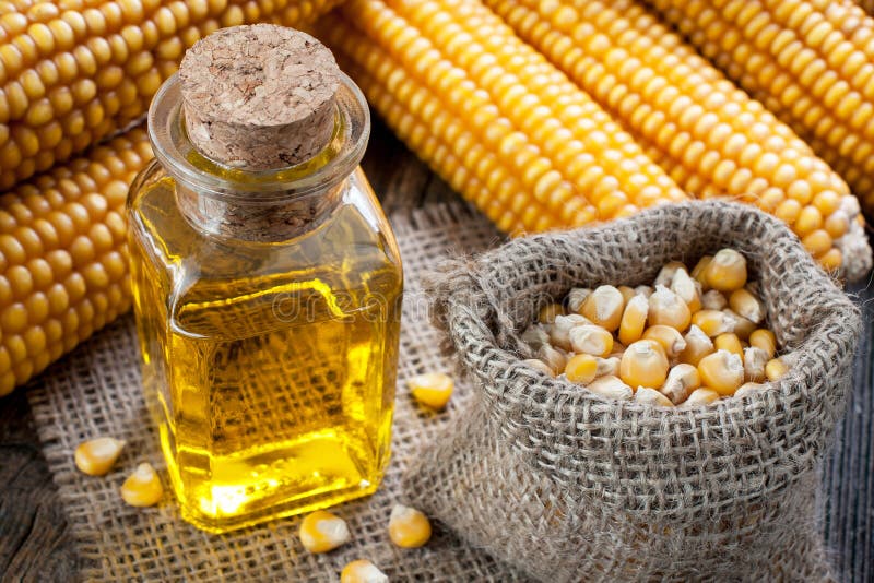 Corn oil stock photo. Image of health, natural, plant - 38682610
