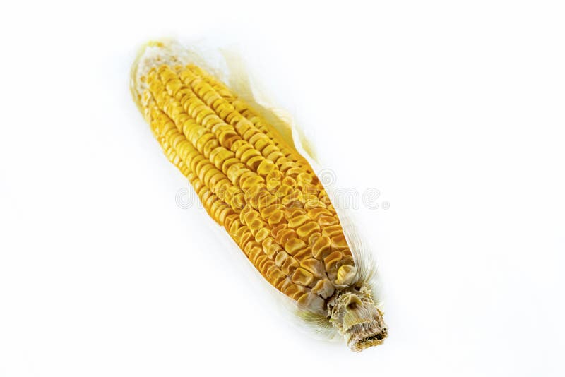 132 Wrinkled Corn Stock Photos - Free & Royalty-Free Stock Photos from ...