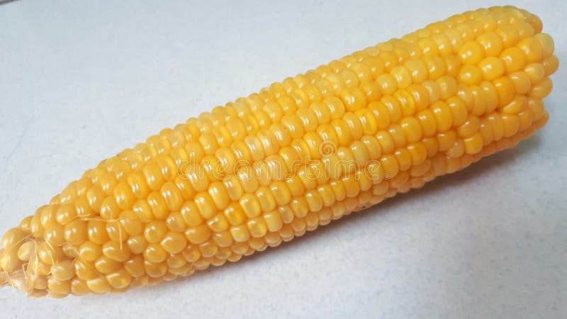 Corn is One of the Most Important Carbohydrate-producing Food Crops in ...