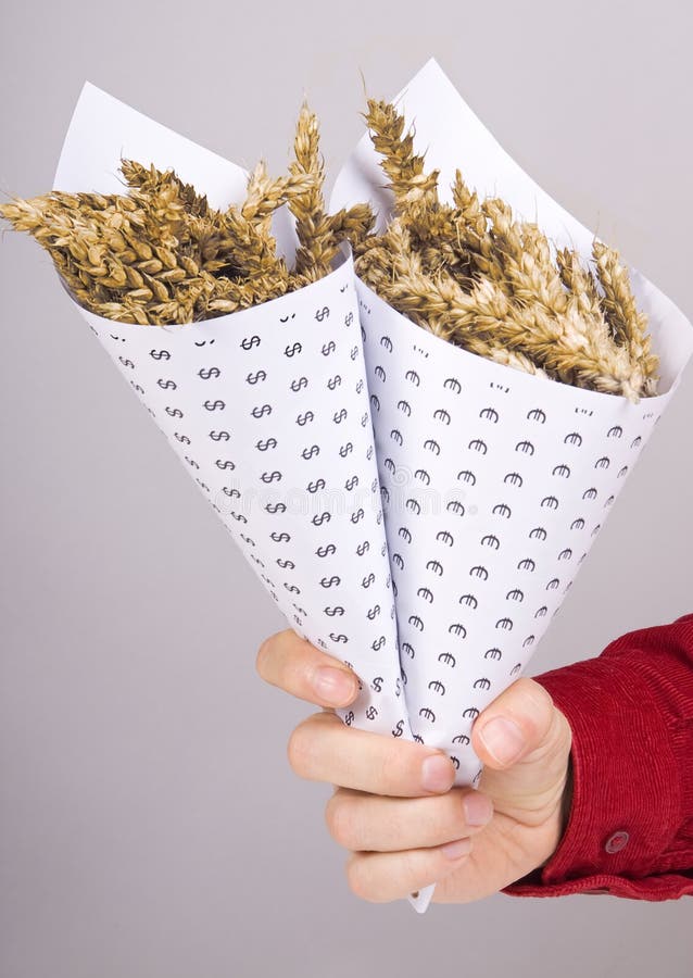 Corn in a paper cone stock image. Image of ripe, cereal - 15943771
