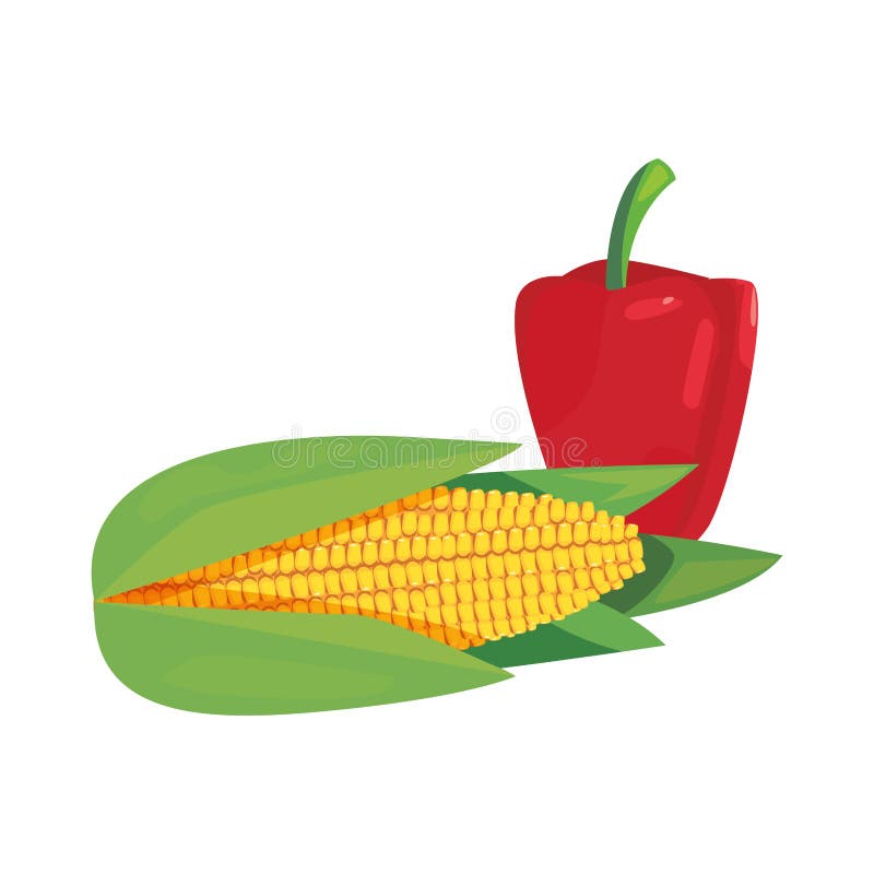 Corn Pepper Bell Fresh Food Stock Illustration - Illustration of ...