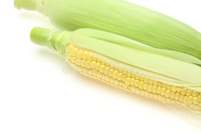 Shuck Stock Images - Download 2,374 Royalty Free Photos