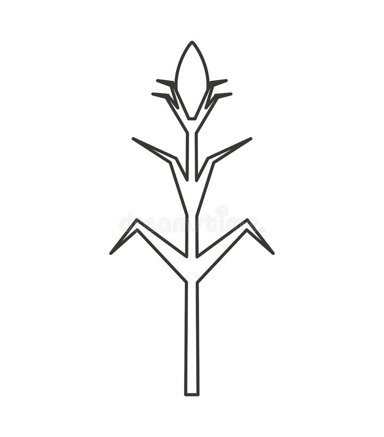 Corn plant isolated icon stock vector. Illustration of corn - 80680309
