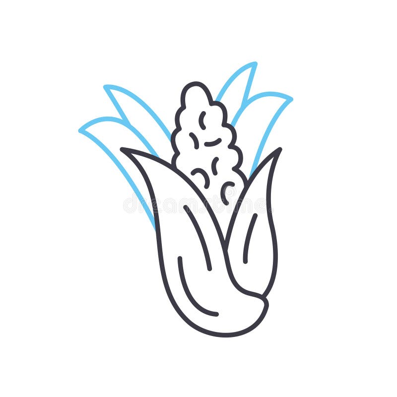 Corn Plant Line Icon, Outline Symbol, Vector Illustration, Concept Sign ...