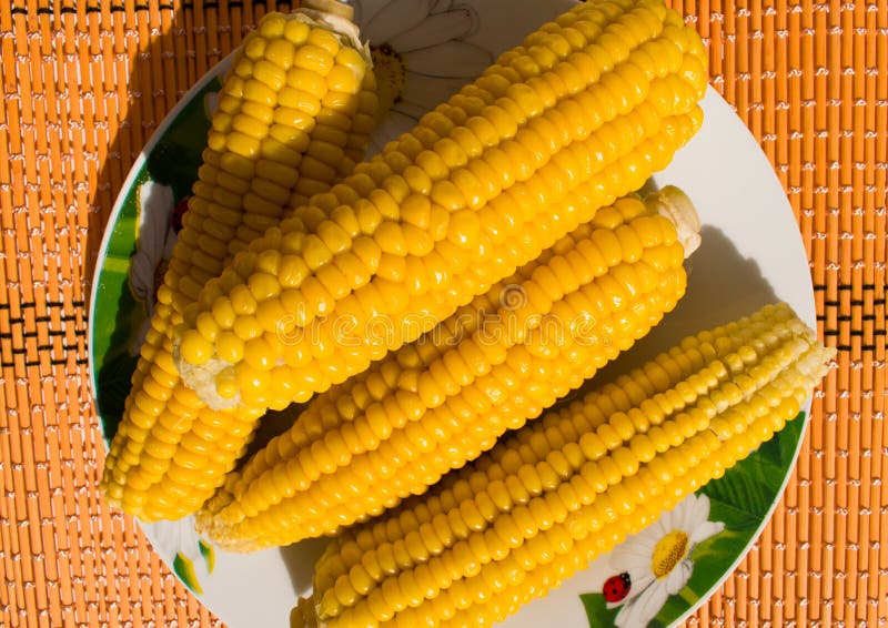 Corn on the plate. stock image. Image of kernel, agrarian - 95409031