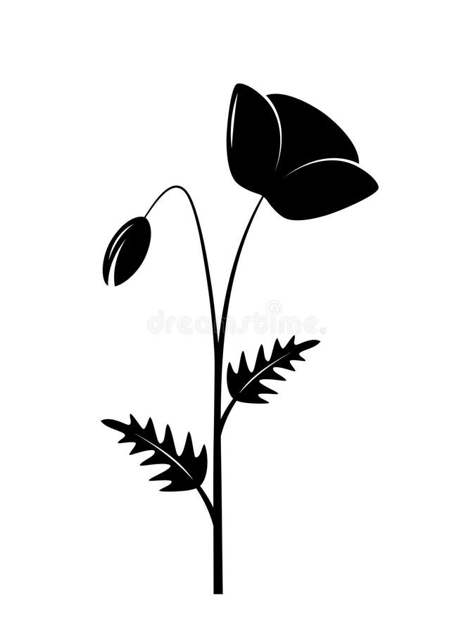 Poppy Field Corn Flower Stock Illustrations – 395 Poppy Field Corn ...