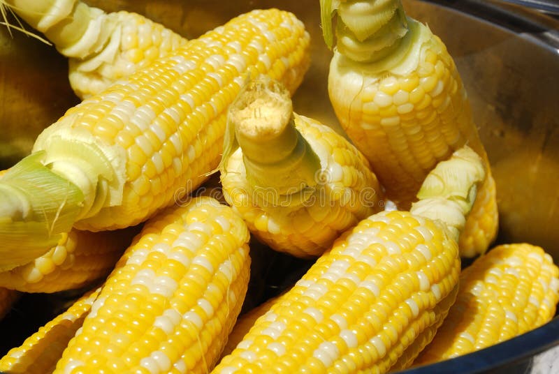 Corn pot stock image. Image of market, crop, vegetables - 3016505
