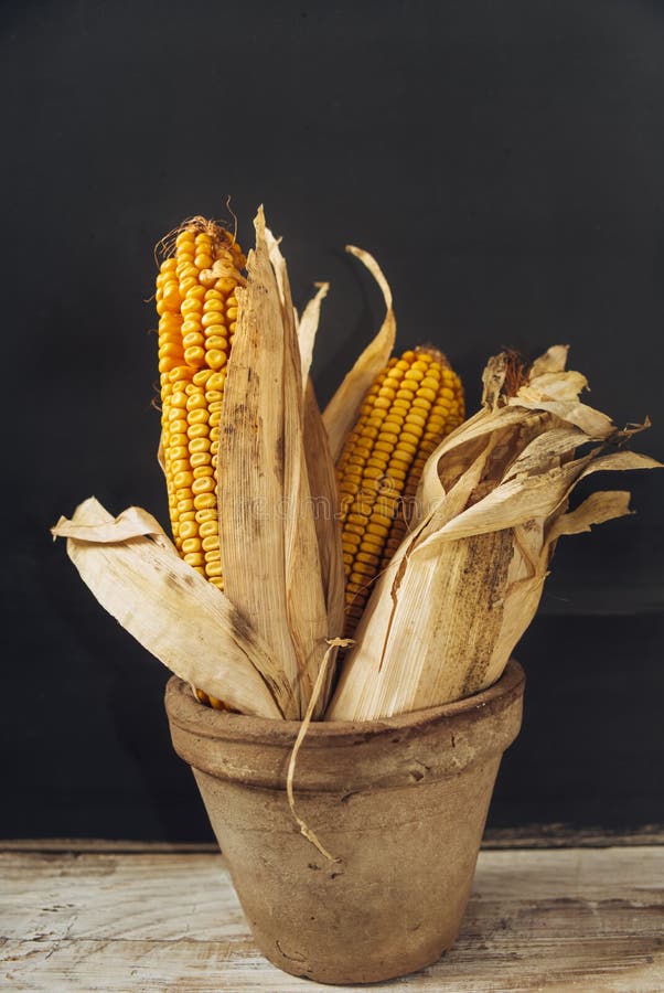 Corn in a pot stock photo. Image of bowl, vertical, domestic - 139398528