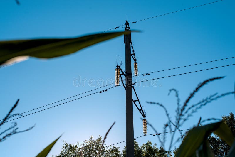 Corn, Power Line and Blue Sky Stock Image - Image of farmland, rural ...