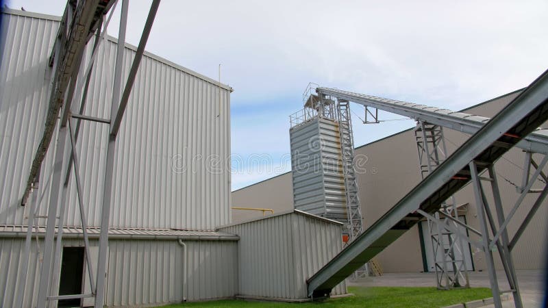 Corn Processing Factory. Automated Conveyor Belt Delivers Raw Materials ...