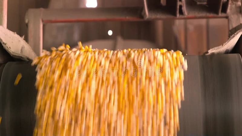 Corn Processing Factory, Food Industry Stock Footage - Video of heap ...