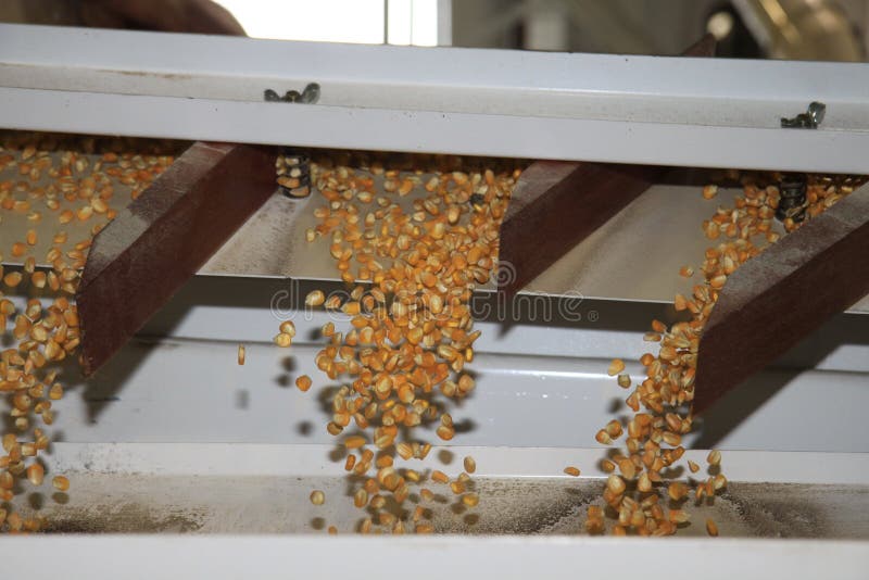 Corn processing stock photo. Image of factory, processing - 34588436