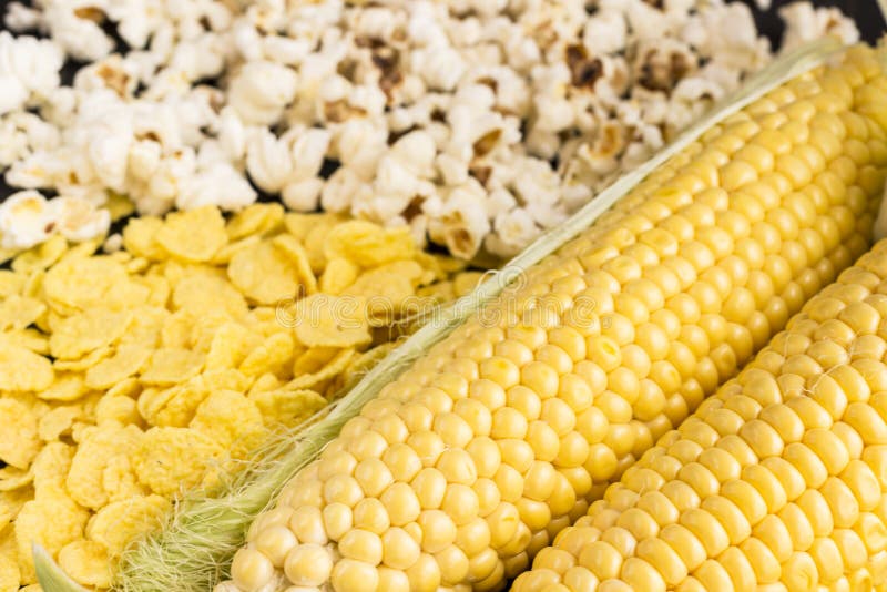 Corn and Corn Products, Top View Stock Image - Image of green, food ...