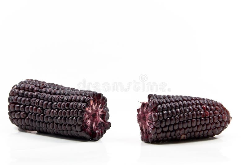 Corn cob plant red hair stock photo. Image of agricultural - 17306874