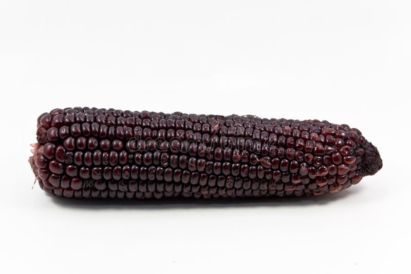 518 Purple Corn Kernels Stock Photos - Free & Royalty-Free Stock Photos ...