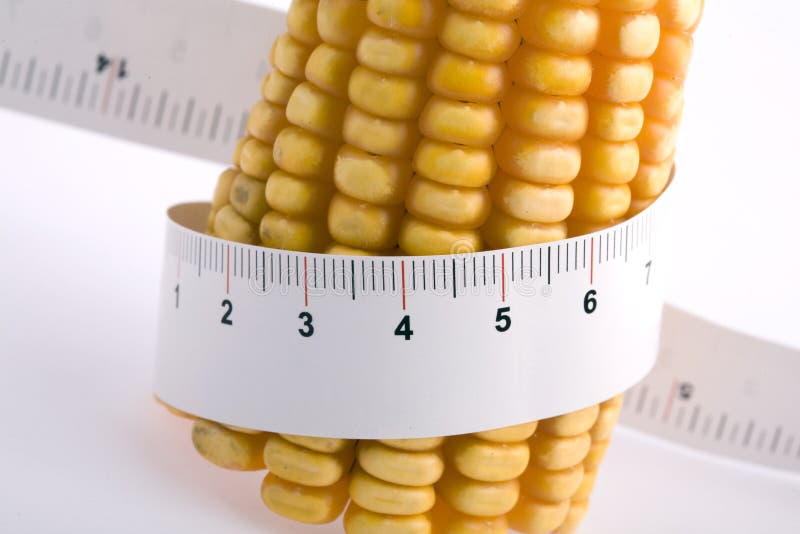 Ruler Corn Stock Photos - Free & Royalty-Free Stock Photos from Dreamstime