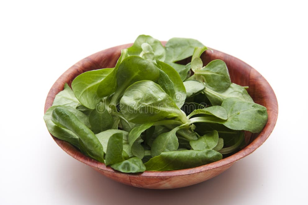 Corn salad stock image. Image of bowl, food, exemptly - 21389923