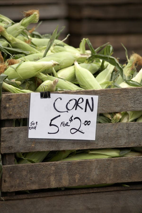 Corn for sale stock photo. Image of brooklyn, health - 12923464