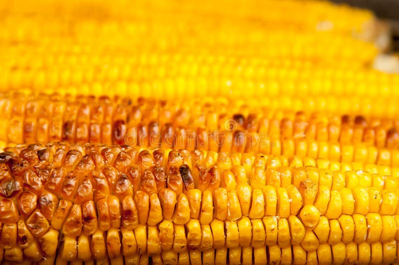 Corn with salt on BBQ stock image. Image of macro, close - 26630825