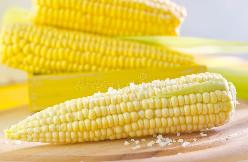 Corn with salt stock photo. Image of nutrition, closeup - 39141908