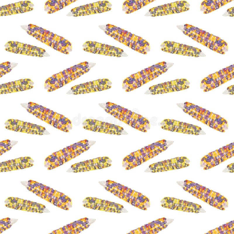 Corn. Seamless Pattern with Hand-drawn Vegetable - Indian Corn Stock ...