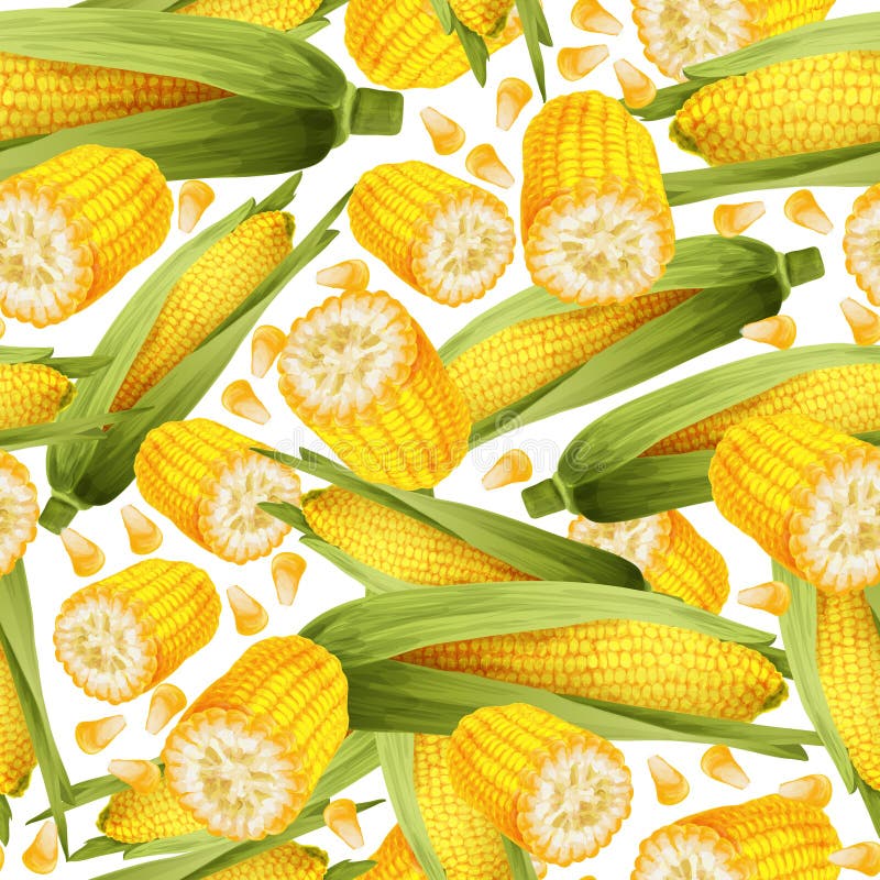Corn seamless pattern stock vector. Illustration of pattern - 41976916