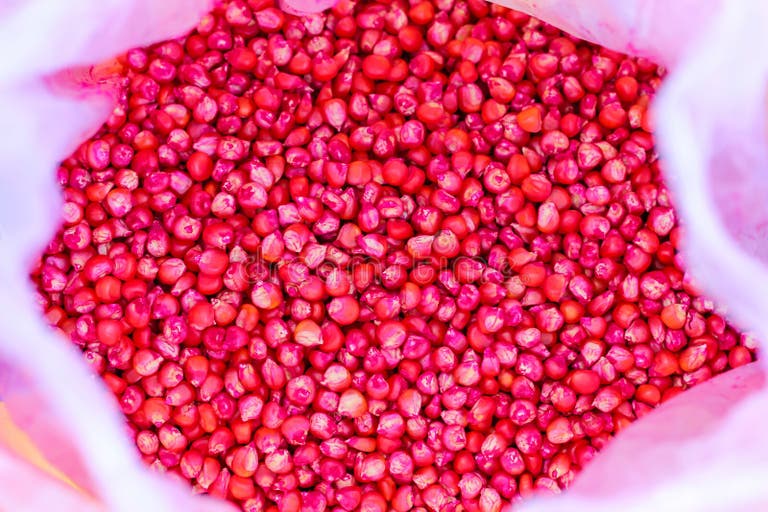 Corn Seed Chemically Treated Stock Photo - Image of seed, bulk: 41009770